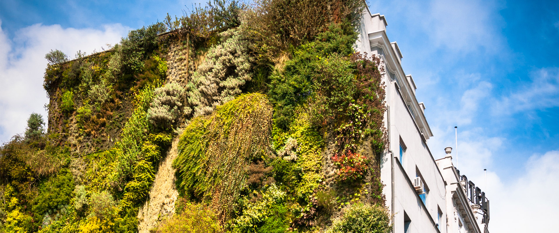 It’s time to embrace the ‘living wall’ years