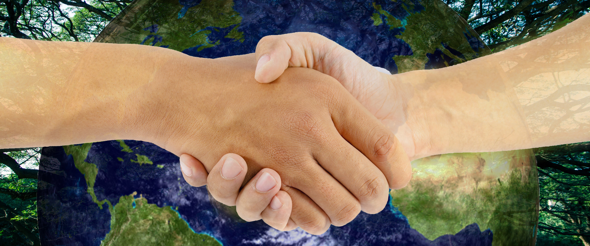 The environmental value of true partnership