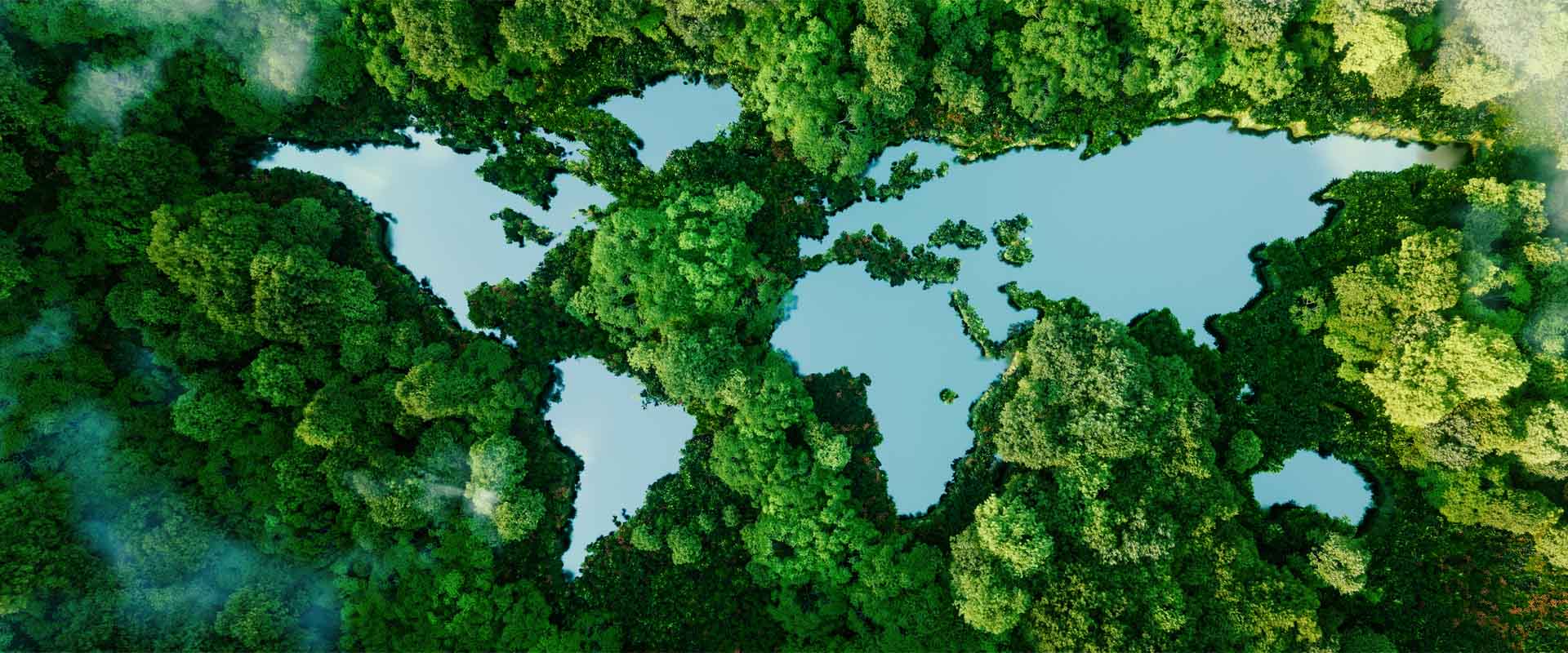 The Language of Sustainability