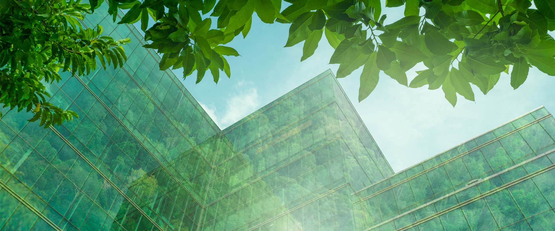 Think beyond the building – Decarbonisation Part 2