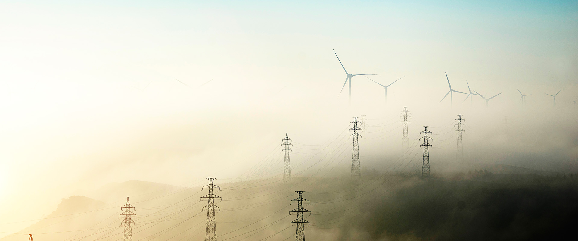 The 7 C’s of Net Zero