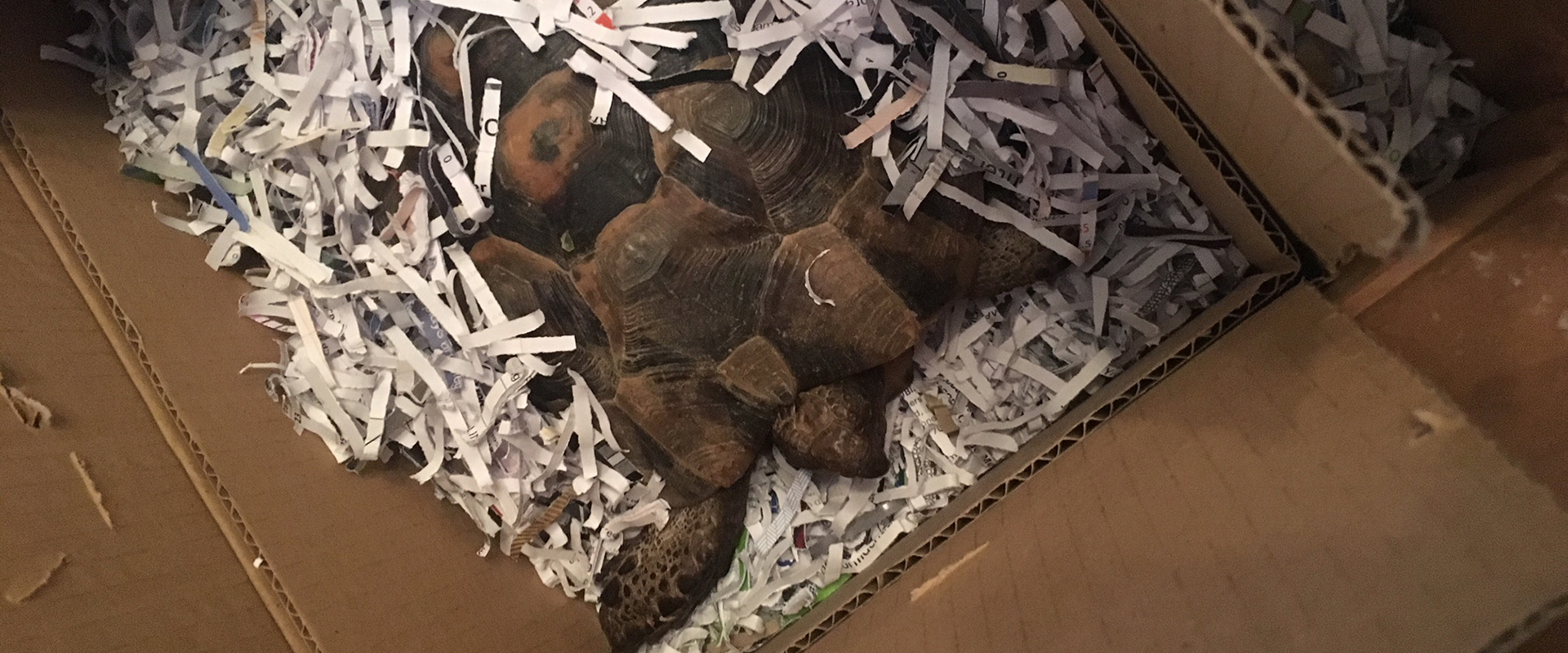 Could hibernating humans tackle fuel poverty?